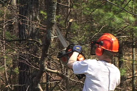 Limbing Stock Video Footage | Royalty Free Limbing Videos | Pond5