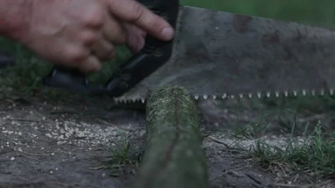 Man saws a tree branch with a hand saw | Stock Video | Pond5