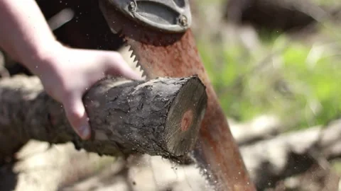 Man saws a wooden logs with a hand saw c... | Stock Video | Pond5