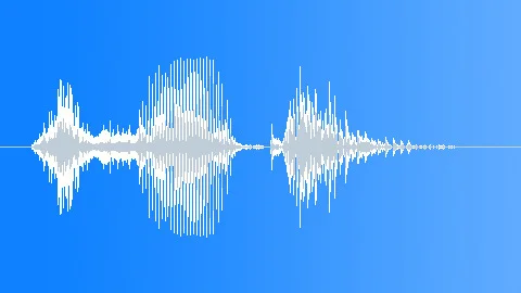 A man saying "Taco" in a funny voice ~ Sound Clip #205753353