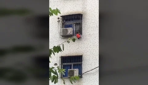 Third Window Stock Videos – Royalty-Free HD & 4K Videos