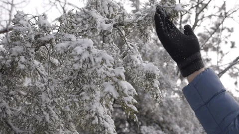 Shake Off Snow Stock Footage ~ Royalty Free Stock Videos | Pond5