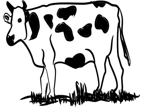 Cow Sketching Stock Videos – Royalty-Free HD & 4K Videos