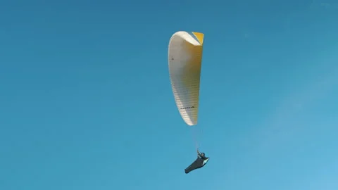 Strong Man Trees Stock Videos – Royalty-Free HD & 4K Videos