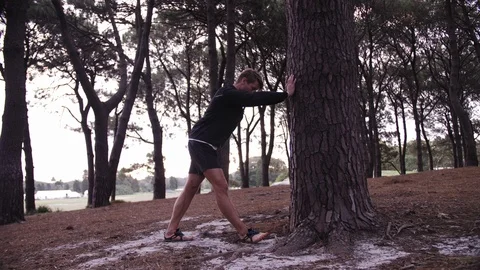 Man Stretches On Pine Tree Among Trees | Stock Video | Pond5