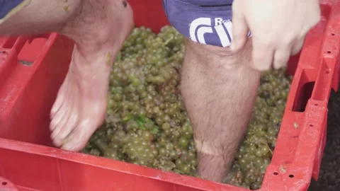 A man with strong legs is stomping on fr... | Stock Video | Pond5