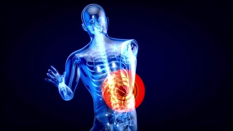 Man suffering from back pain Human body ... | Stock Video | Pond5