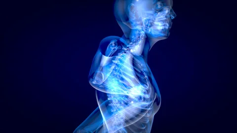 Back Motion Design Stock Videos – Royalty-Free HD & 4K Videos