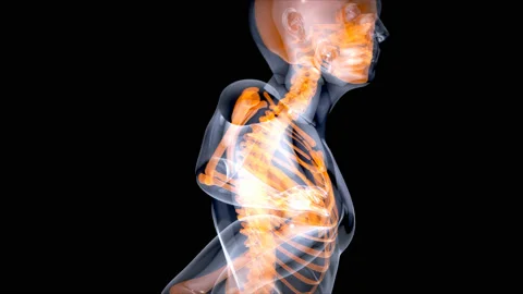 Back Motion Design Stock Videos – Royalty-Free HD & 4K Videos