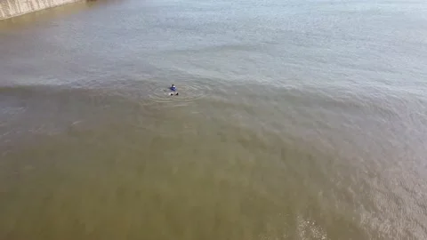 Drowning Dot From View Stock Videos – Royalty-Free HD & 4K Videos