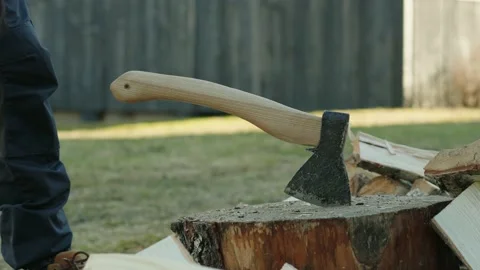 Man Taking An Axe From A Tree Stump For ... | Stock Video | Pond5