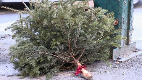 Man throwing fir tree branch wreath away... | Stock Video | Pond5
