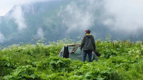 Through Things Stock Videos – Royalty-Free HD & 4K Videos