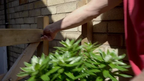 Man unbolting a gate carrying a plant. | Stock Video | Pond5