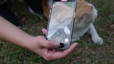 man use smartphone take a video and pict... | Stock Video | Pond5