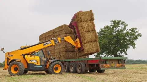 Telehandler Stock Video Footage | Royalty Free Telehandler Videos | Pond5