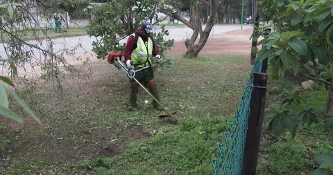 Weed Eater Stock Footage ~ Royalty Free Stock Videos | Pond5