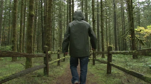 Man Walking Away on Forest Trail 2 | Stock Video | Pond5