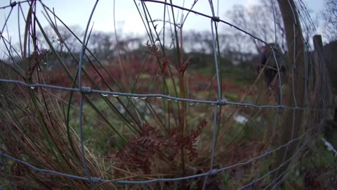 A man walking behind a wire fence and lo... | Stock Video | Pond5