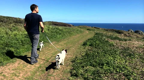 Man walking dogs on coastal path | Stock Video | Pond5