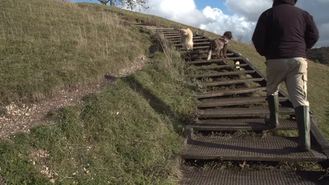 Catherine Ohair Stock Videos – Royalty-Free HD & 4K Videos | Pond5