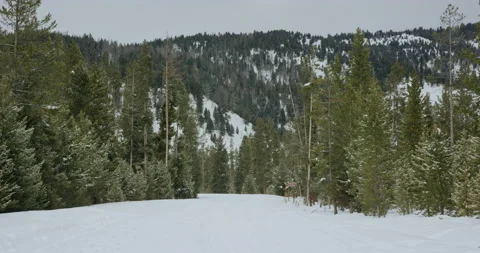 Man walking down long snow covered fores... | Stock Video | Pond5