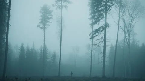 Man walking into foggy dark forest. Mist... | Stock Video | Pond5