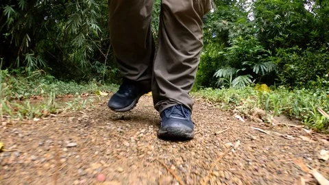 A man walking in the jungle, camera focu... | Stock Video | Pond5