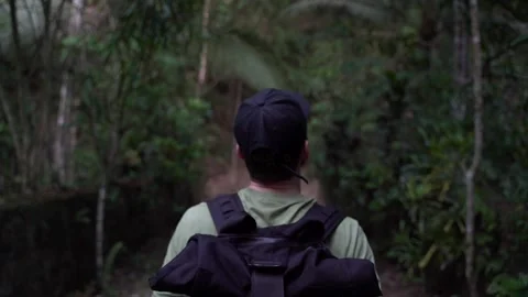 Man walking over stone bridge in jungle ... | Stock Video | Pond5