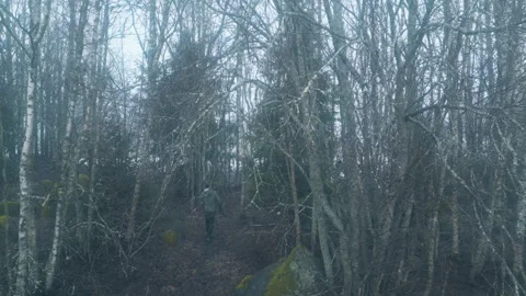 Man walking into scary misty forest, dol... | Stock Video | Pond5