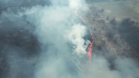 Wartching Fire Stock Video Footage | Royalty Free Wartching Fire Videos ...