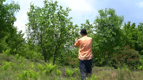 Man watching tree of Whitebeam in the wi... | Stock Video | Pond5
