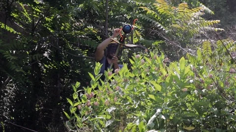 Wearing G String Stock Videos – Royalty-Free HD & 4K Videos