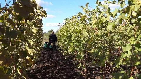 A man in work clothes digging the ground... | Stock Video | Pond5
