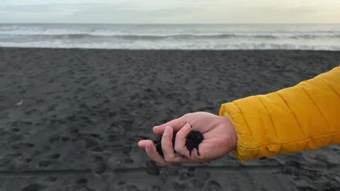 Palm Beach Jacket Stock Videos – Royalty-Free HD & 4K Videos