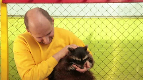 Animal A Zoo Coon Stock Footage ~ Royalty Free Stock Videos | Pond5