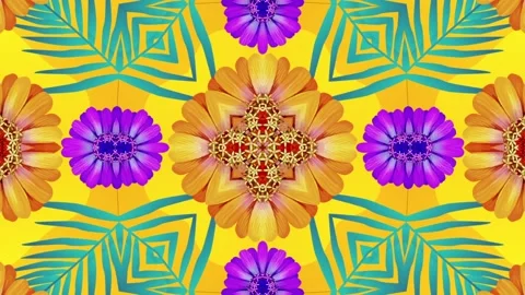 Tropical Graffiti Stock Videos – Royalty-Free HD & 4K Videos | Pond5