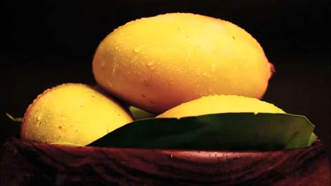 Kesar Background Stock Videos – Royalty-Free HD & 4K Videos