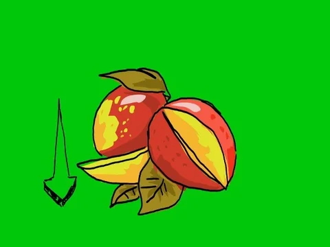 Mango - Hand Drawn - Green Screen - SD | Stock Video | Pond5