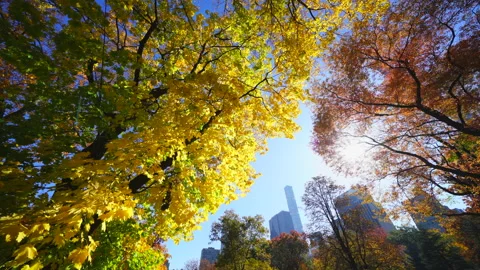 Manhattan high-rise luxury apartment can... | Stock Video | Pond5