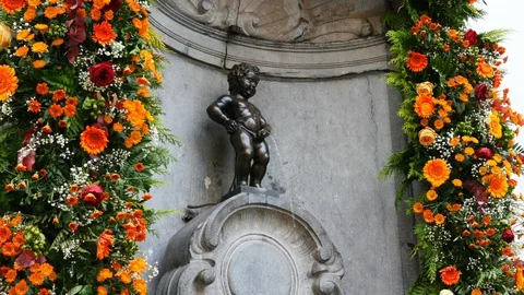 Statue Peeing Stock Footage ~ Royalty Free Stock Videos | Pond5