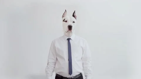 Body No Head Stock Videos – Royalty-Free HD & 4K Videos