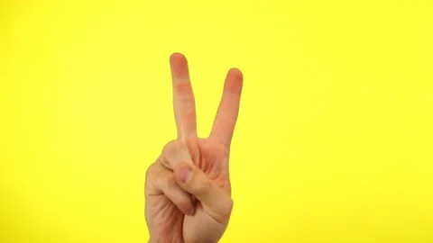 Fifth Studio Stock Videos – Royalty-Free HD & 4K Videos