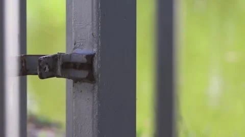 Man Opening Gate Stock Video Footage | Royalty Free Man Opening Gate ...