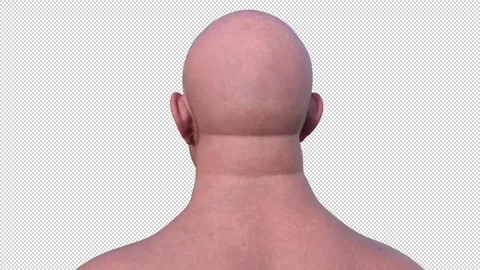 Human Face Rotating Stock Videos – Royalty-Free HD & 4K Videos