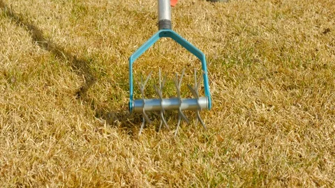 Lawn and Garden Stock Video Footage | Royalty Free Lawn and Garden ...