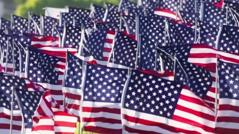 Many American Flags Waving on Summer day... | Stock Video | Pond5