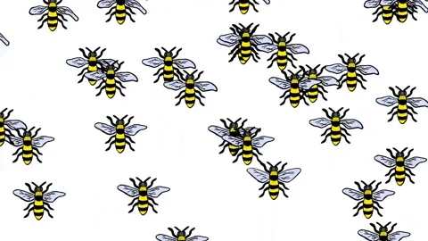 Many Bees Flying Hand Drawn Animation Lo... | Stock Video | Pond5