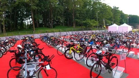 Site Speed Check Stock Videos – Royalty-Free HD & 4K Videos