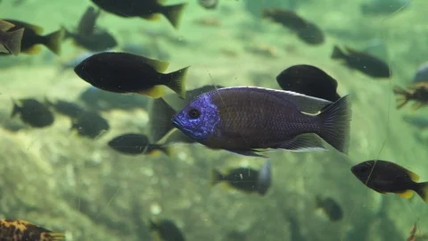 Body No Head Stock Videos – Royalty-Free HD & 4K Videos | Page 3